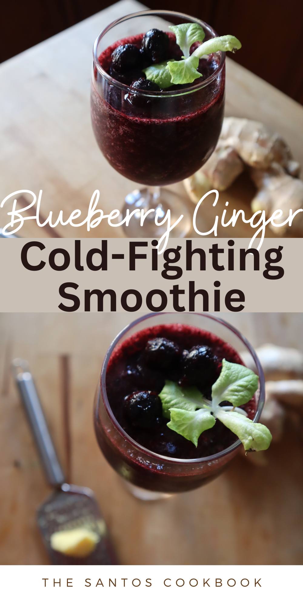 Antioxidant Blueberry Ginger Turmeric Smoothie - The Santos Cookbook